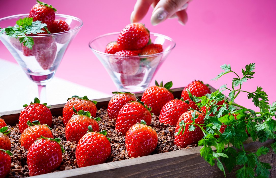 Home [www.thewarehouseataloftginza.com]